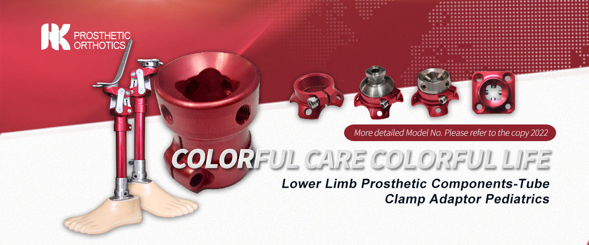 Quality Lower Limb Prosthetic Components & Prosthetic Knee Joint ...